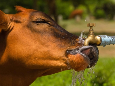 Ultimate insurance experience | Indiana Farmers Insurance